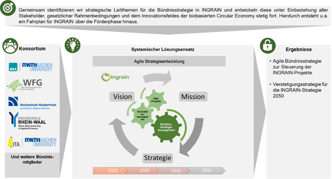 INGRAIN-Strategieentwicklung - Ingrain