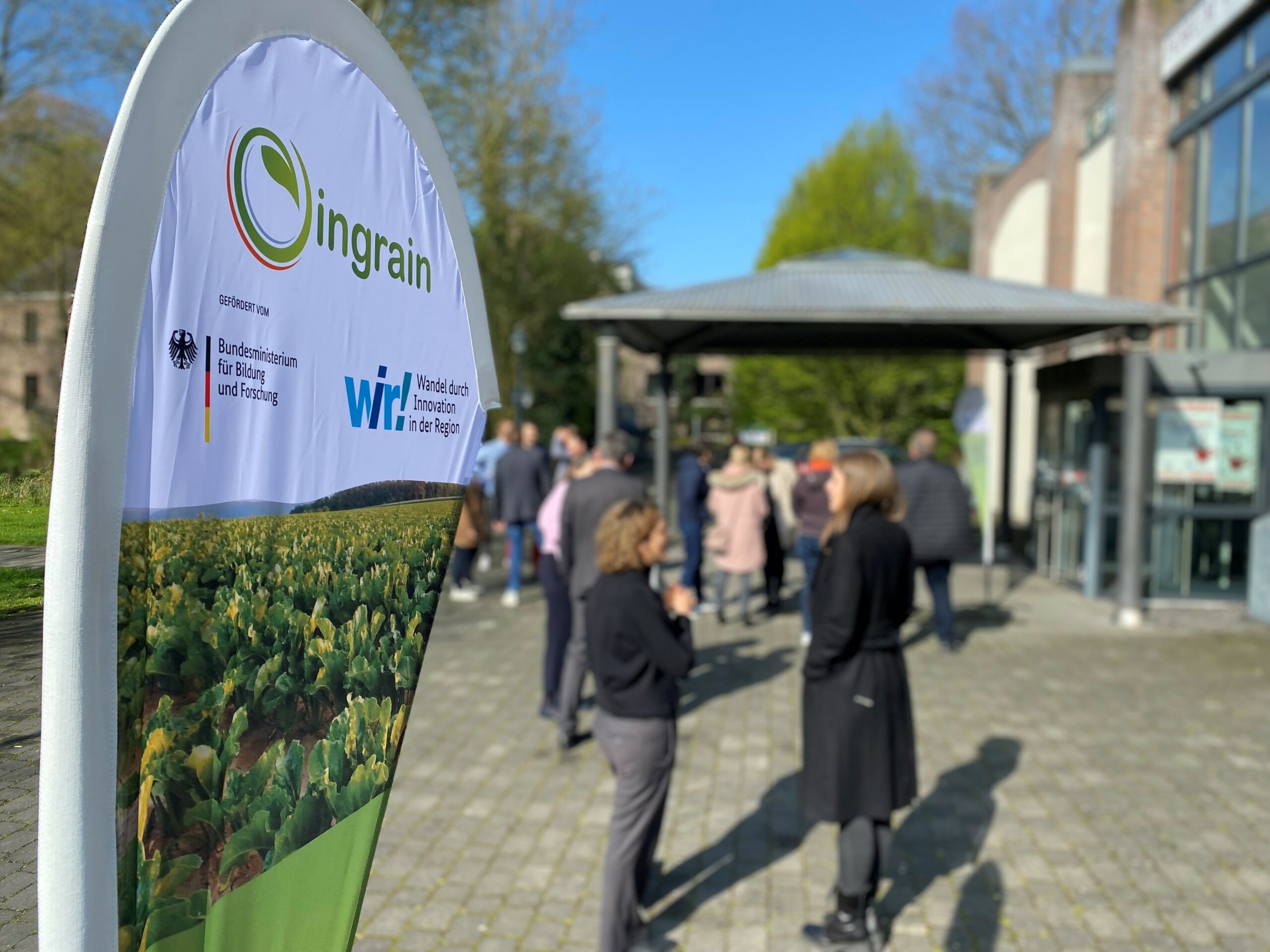 Kurzfilm INGRAIN-Bündnistag - Ingrain